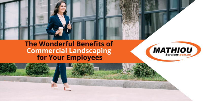 Benefits of Commercial Landscaping for Workers | Blog