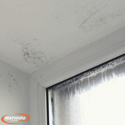 Commercial Mould Removal & Wall Replastering | Mathiou