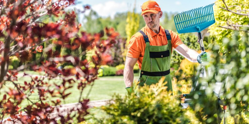 Strata Garden Maintenance: A Quick Guide | Mathiou Services