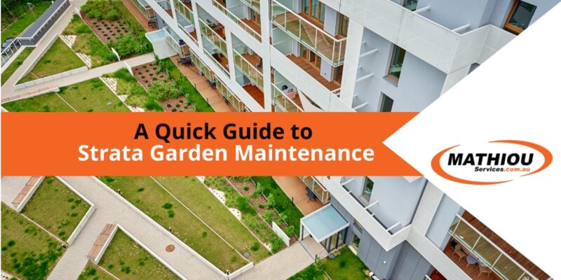 Strata Garden Maintenance: A Quick Guide | Mathiou Services